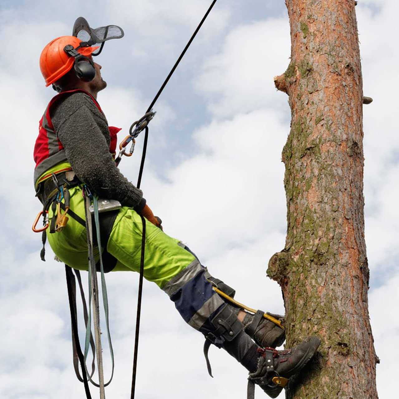 Double Braid Polyester Arborist Rigging Rope -1/2 inch x 100 feet ...