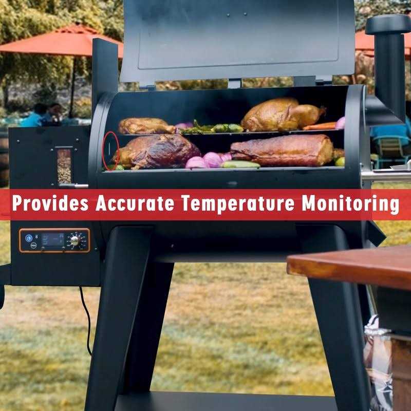 Entsong Replacement RTD Temperature Probe Sensor - Shop Hardware Tools for Work and Home